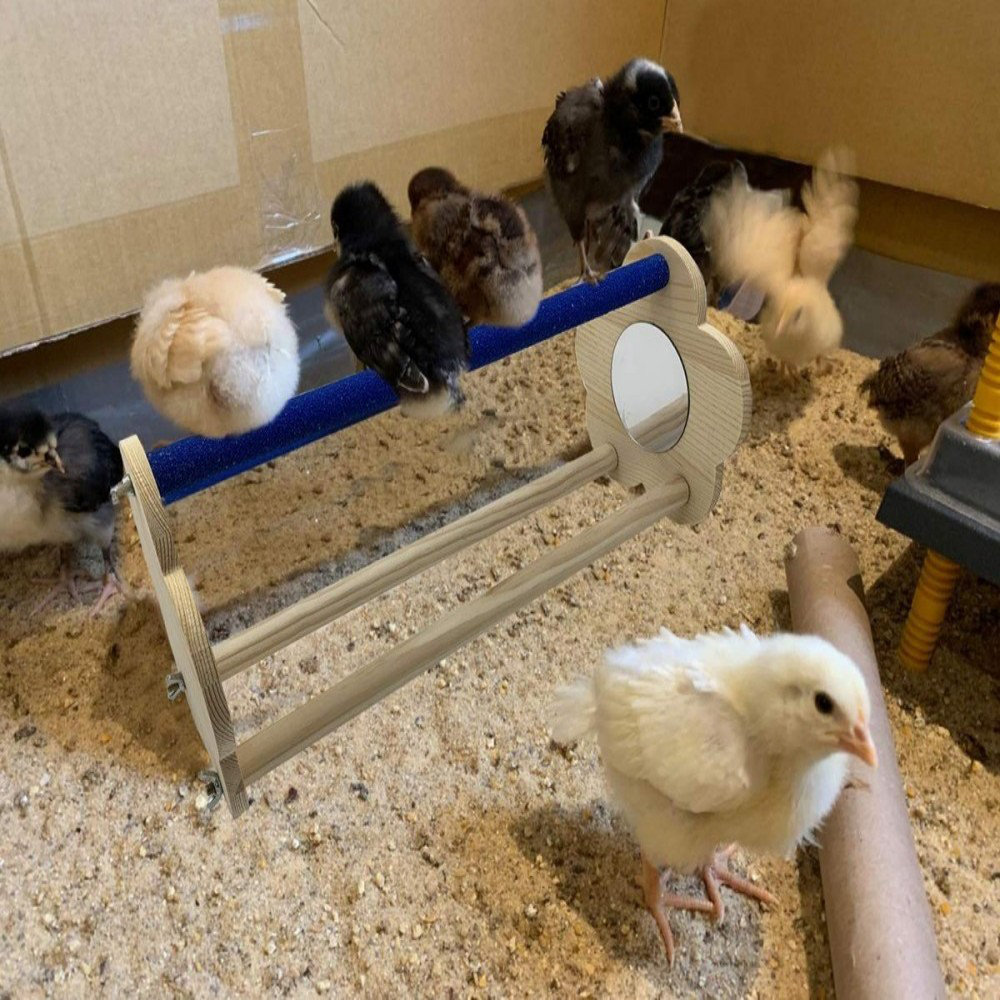 Ophelia & Co. Chicken Standing Training Perch Toys Chicken Swing ...