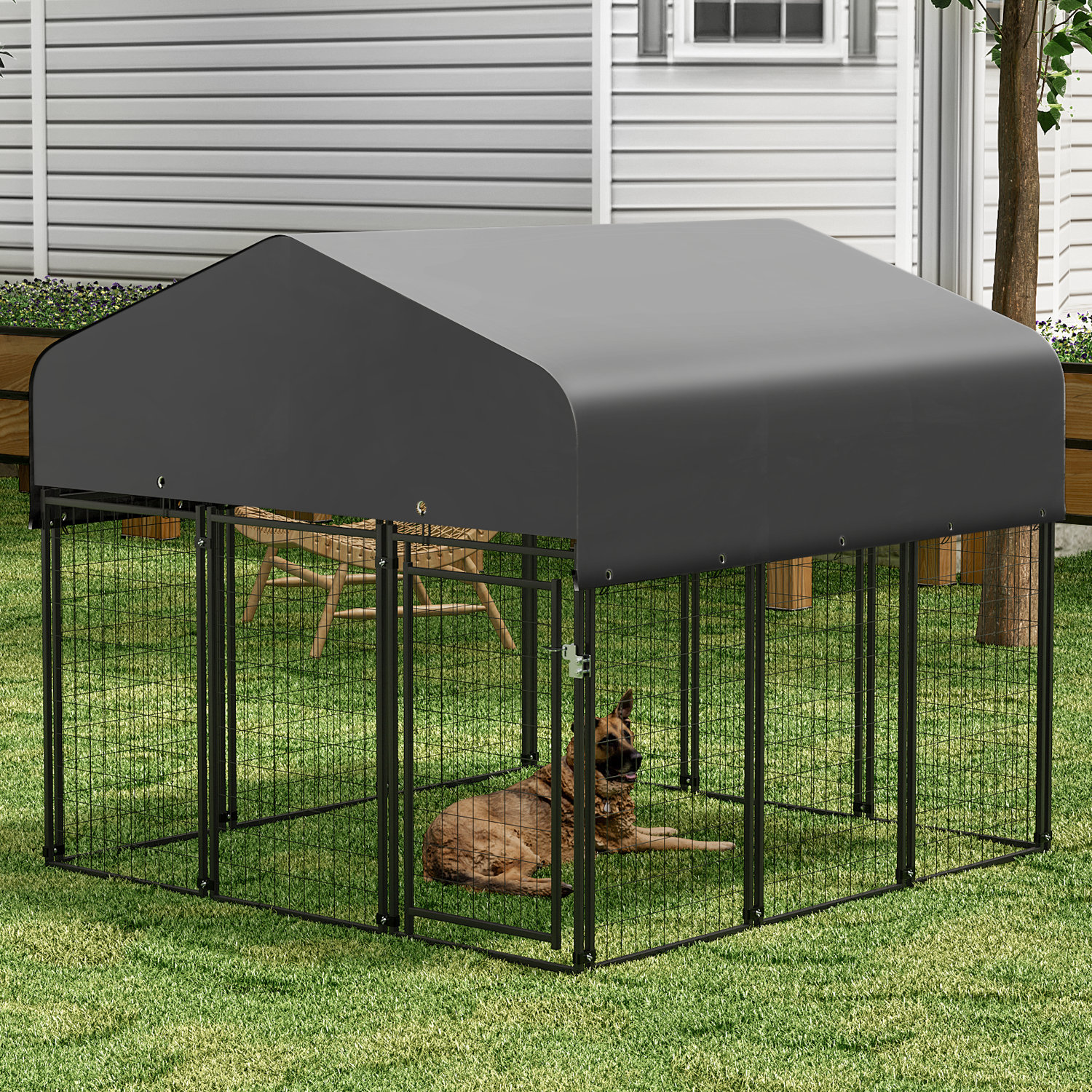 MoNiBloom Dog Run Animal Play Pen & Reviews - Wayfair Canada