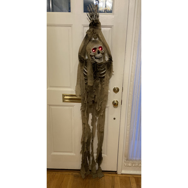 The Holiday Aisle® 59" Halloween Hanging Animated Shaking Skeleton ...