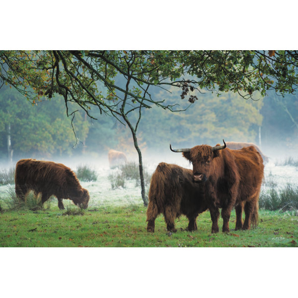Union Rustic Scottish Highlanders - Wayfair Canada