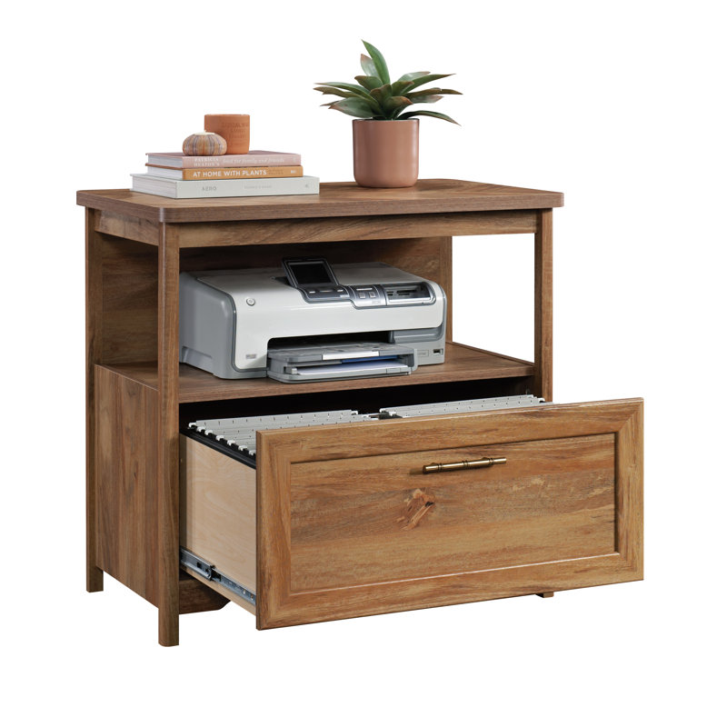 Lark Manor™ Darrian 1-Drawer Lateral Filing Cabinet & Reviews | Wayfair