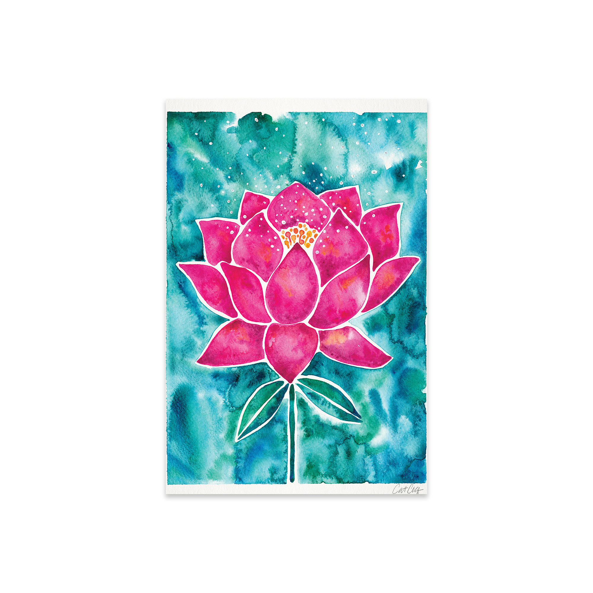Bungalow Rose Magenta Background Lotus Blossom On Plastic / Acrylic by ...