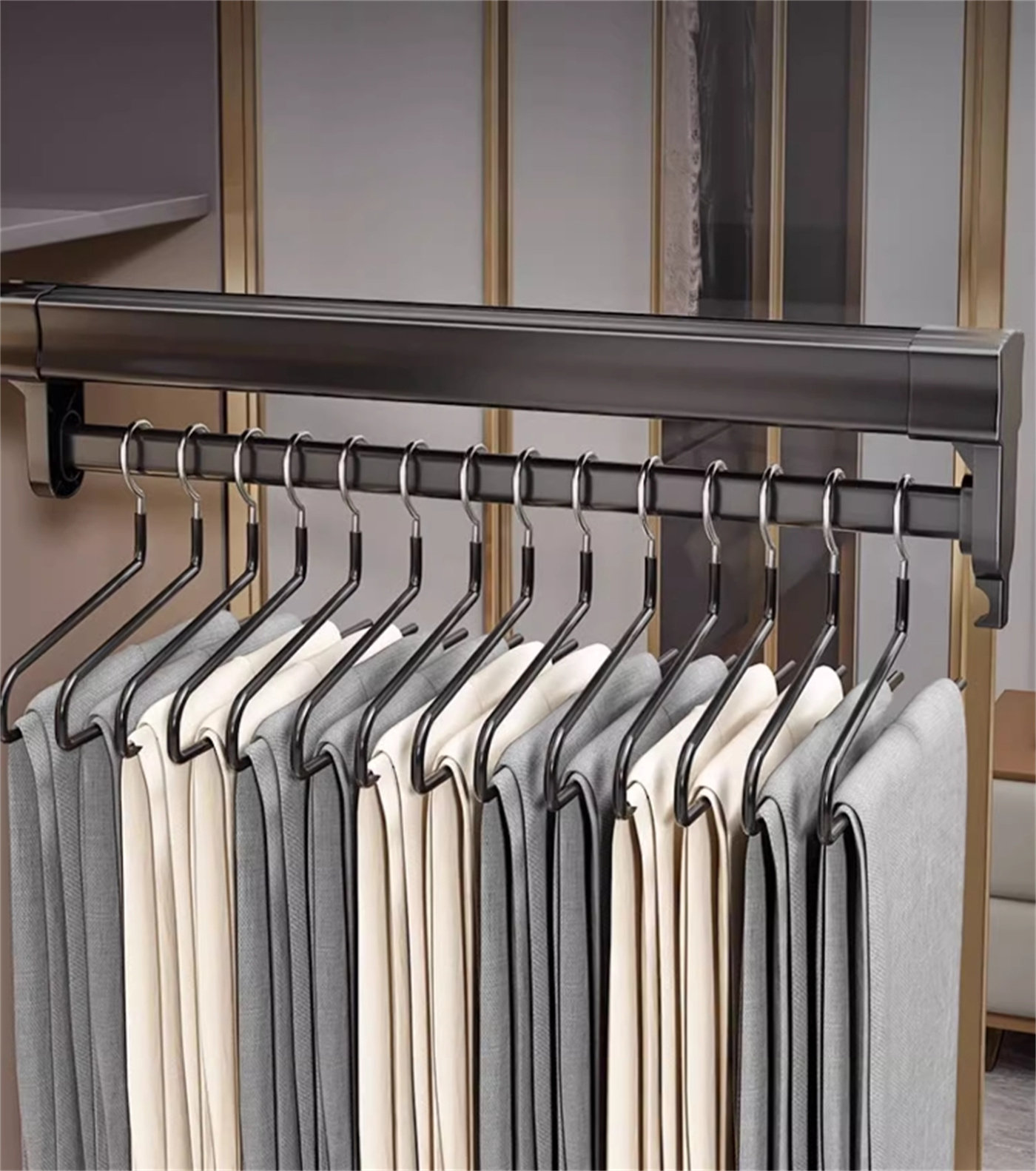 Meta Tarmor Retractable Pants Rack With Sliding Rail - Wayfair Canada