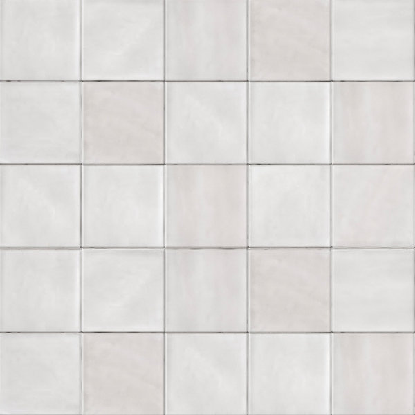 Tilefy Bliss 5X5 Ceramic Wall Tile | Wayfair