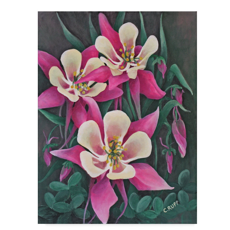 Bay Isle Home Pretty In Pink Flowers On Canvas by Carol J Rupp Print ...