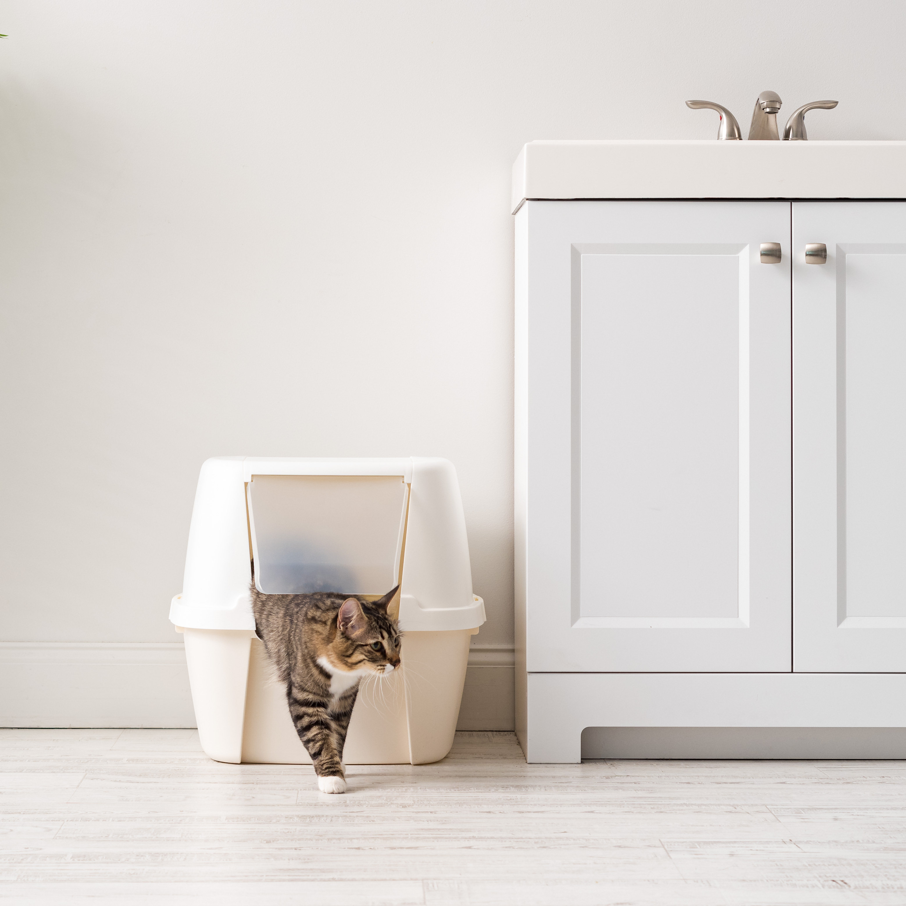 IRIS USA, Inc. Jumbo Hooded Litter Box With Scoop, Off White & Reviews ...