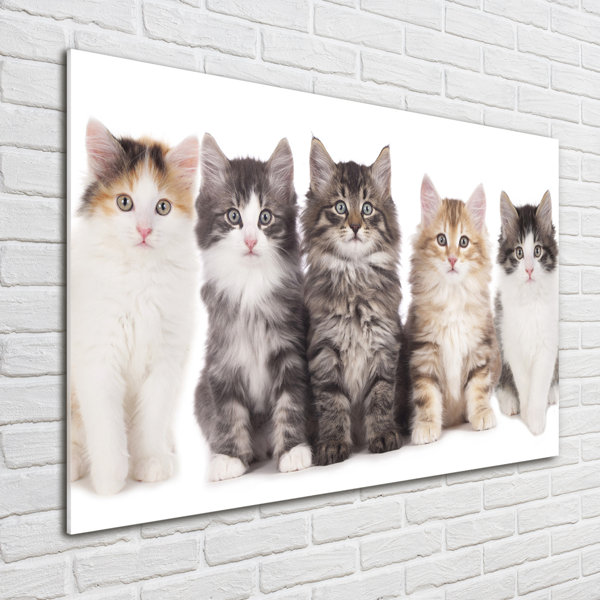 Ebern Designs Glasbild Sechs Katzen | Wayfair.de
