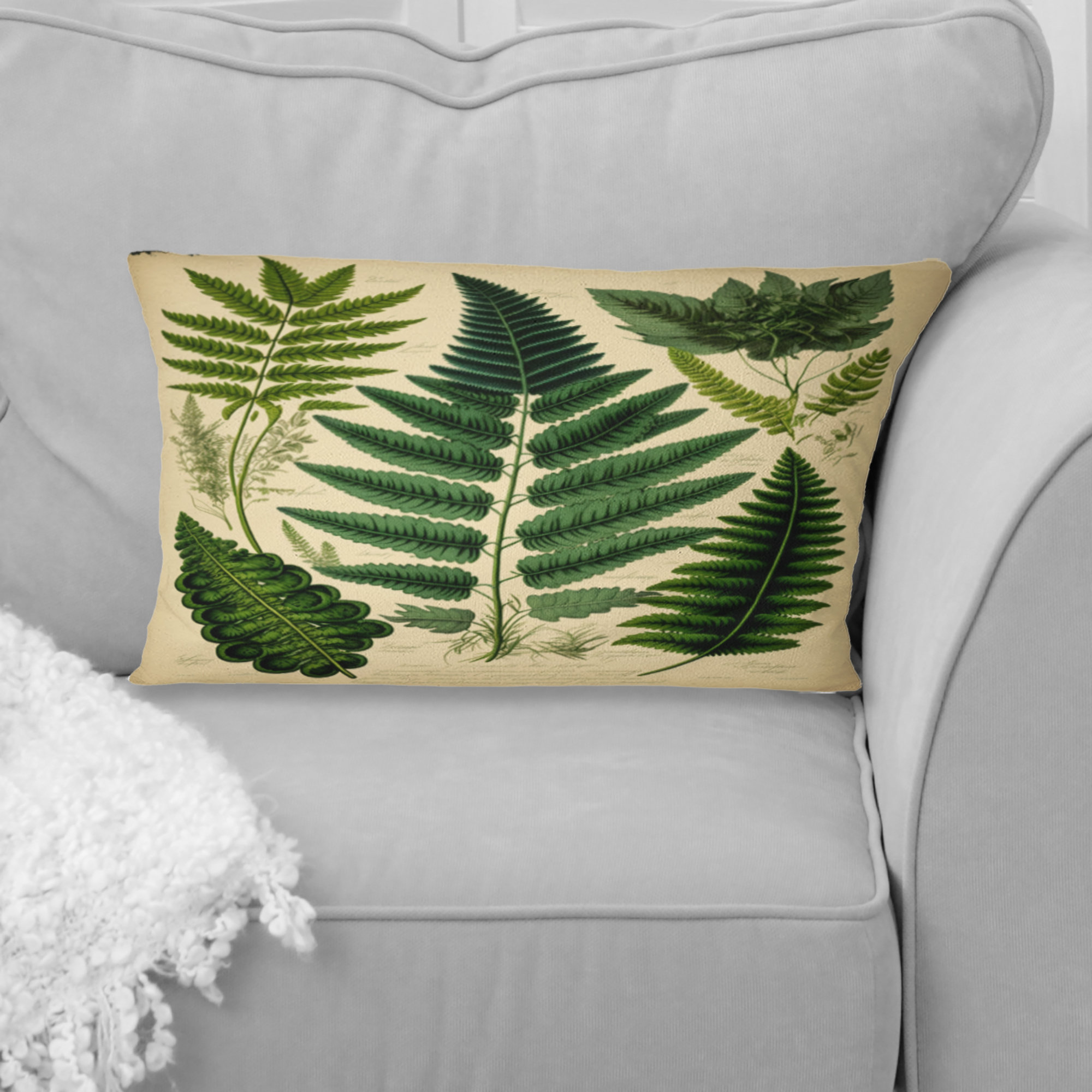 Design Art Fern On Retro Victorian Chart VII - Ferns Printed Throw ...