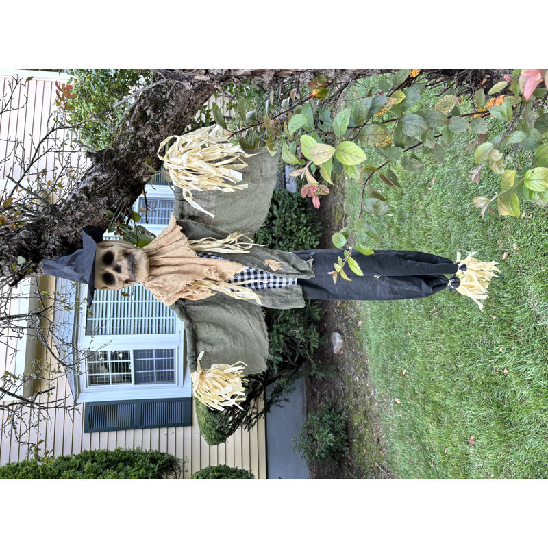 The Holiday Aisle® 60" Hanging Halloween Scarecrow | Wayfair