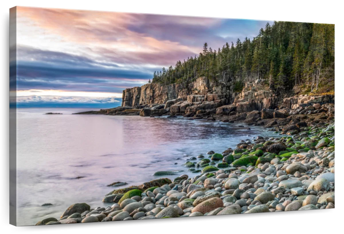 Elephant Stock Otter Cliffs At Dawn - Wayfair Canada