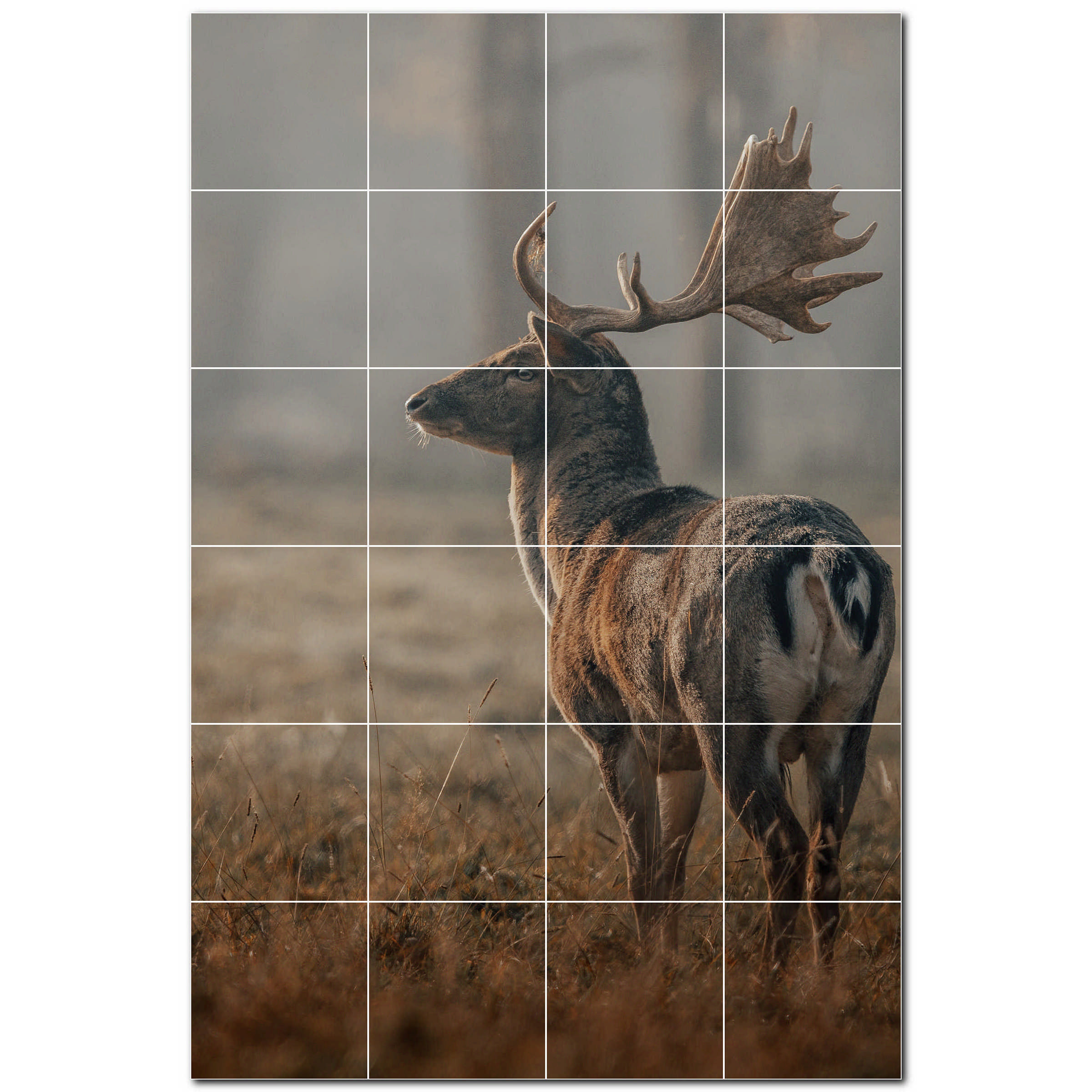 Picture-Tiles.com 24" x 36" Ceramic Deer Photo Decorative Mural Tile ...
