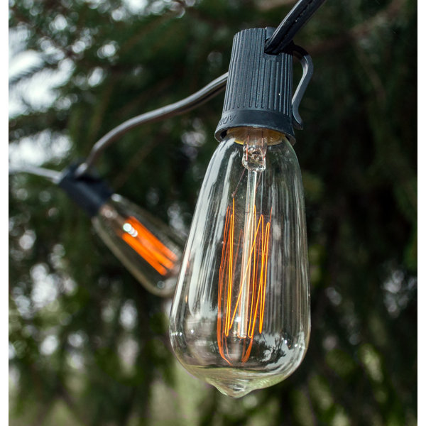 HometownEvolutionInc Edison String Lights Outdoor 25 - Bulb 25'' Plug ...