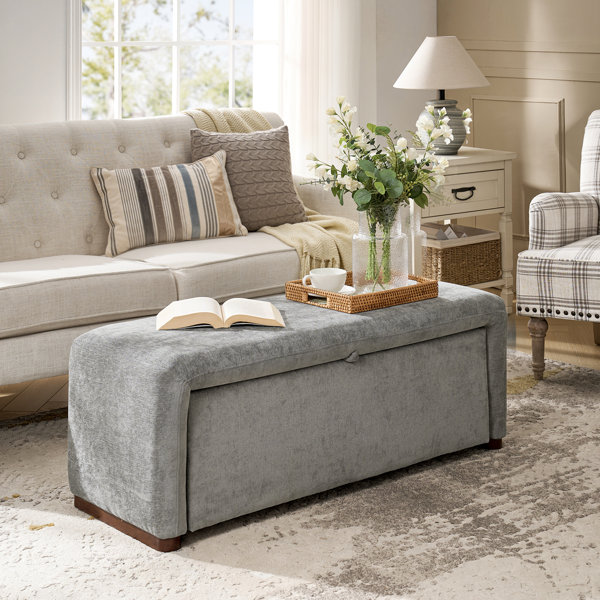 Ivy Bronx Delorise Modern 48.5”W Side-opening Storage Bench with Padded ...
