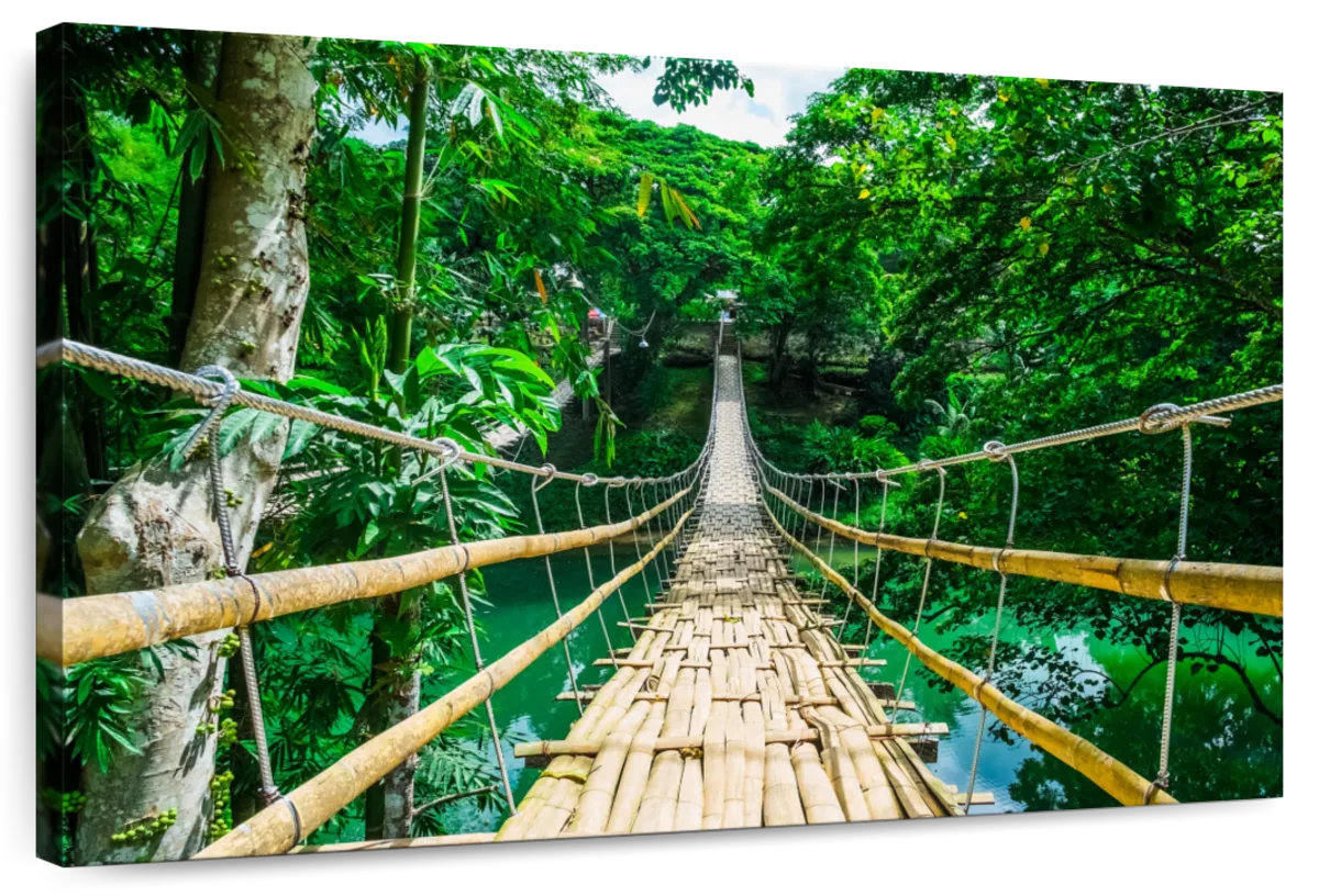 Ebern Designs Lilie Bamboo Suspension Bridge | Wayfair