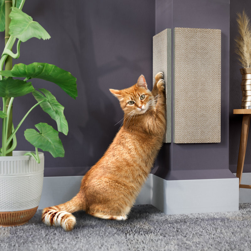 Tucker Murphy Pet™ Calisha Scratching Post & Reviews | Wayfair