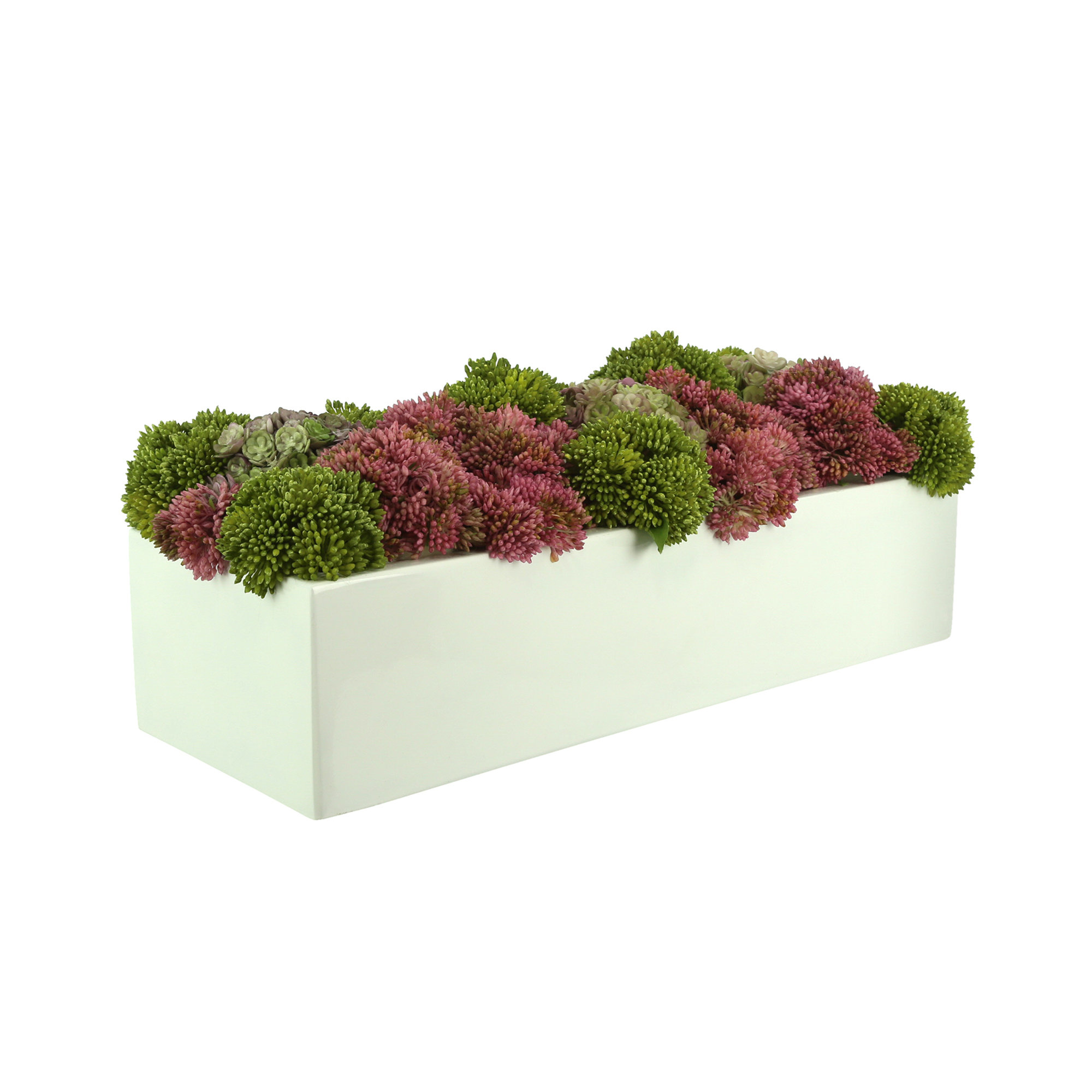 Creative Displays, Inc. Assorted Sedum and Succulents in Fiberstone ...
