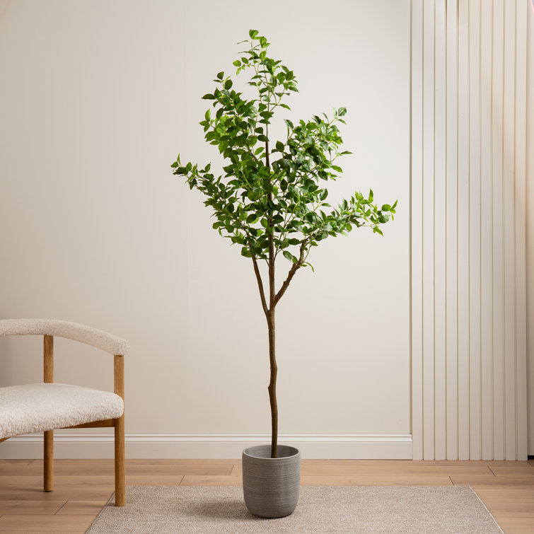 Brayden Studio 457.2cm Faux Ficus Tree in Pot | Wayfair.co.uk