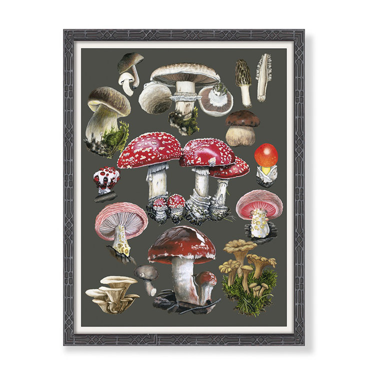 Grand Image Mushroom Chart by Thicket Design | Perigold