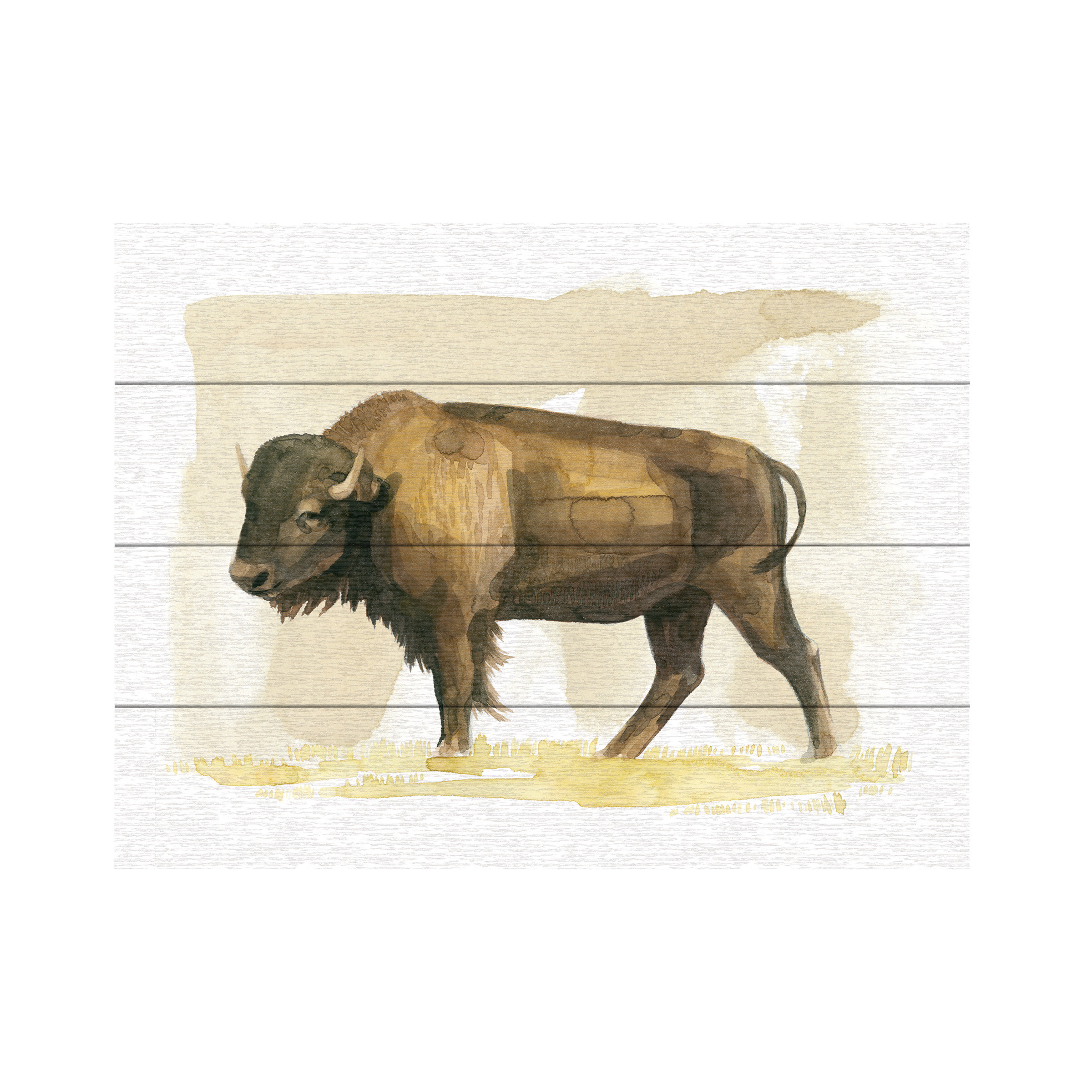 Trademark Fine Art Grace Popp 'Bison Watercolor Sketch II' Wood Slat ...