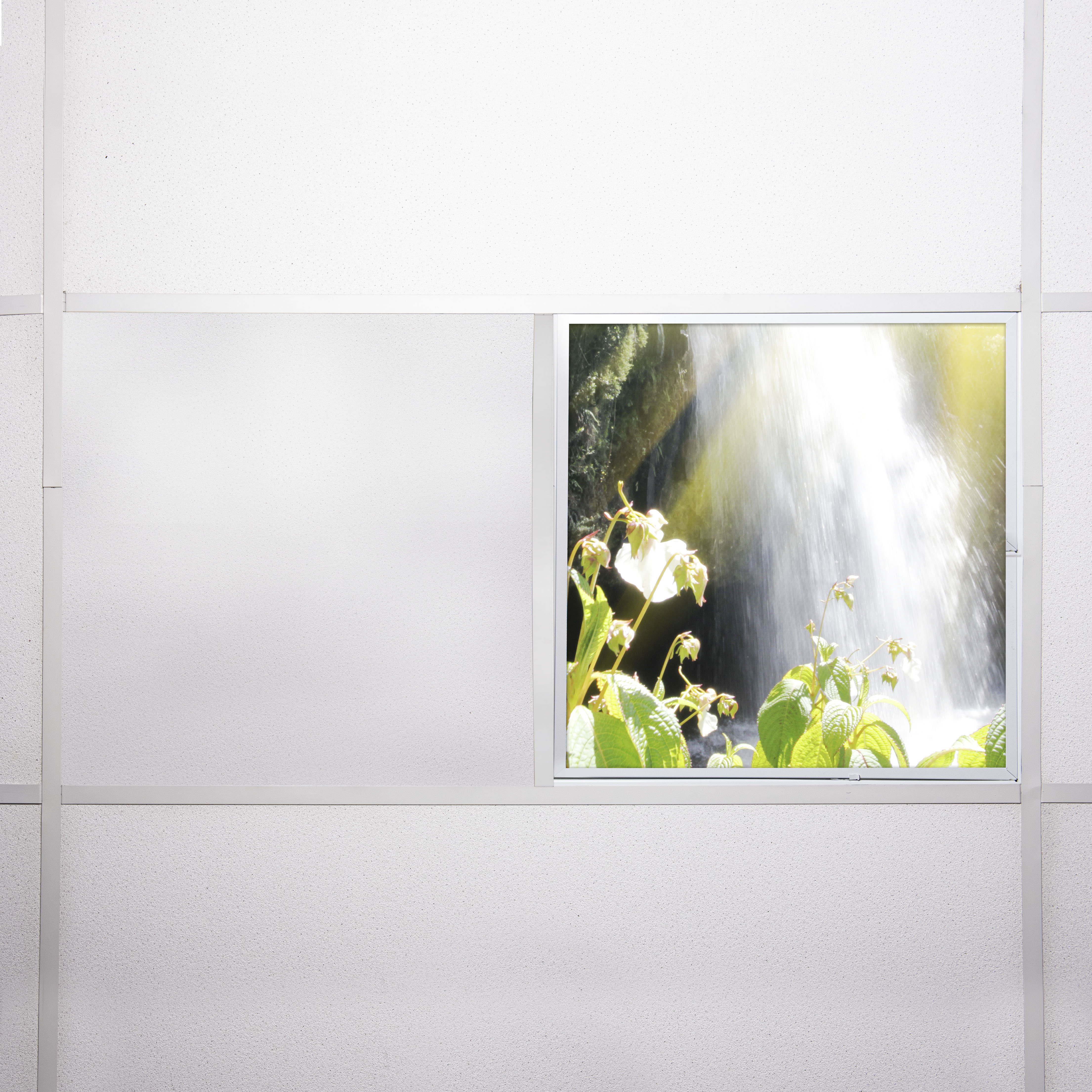 Octo Lights Waterfall Square Fixture Component Ceiling Light - Wayfair ...