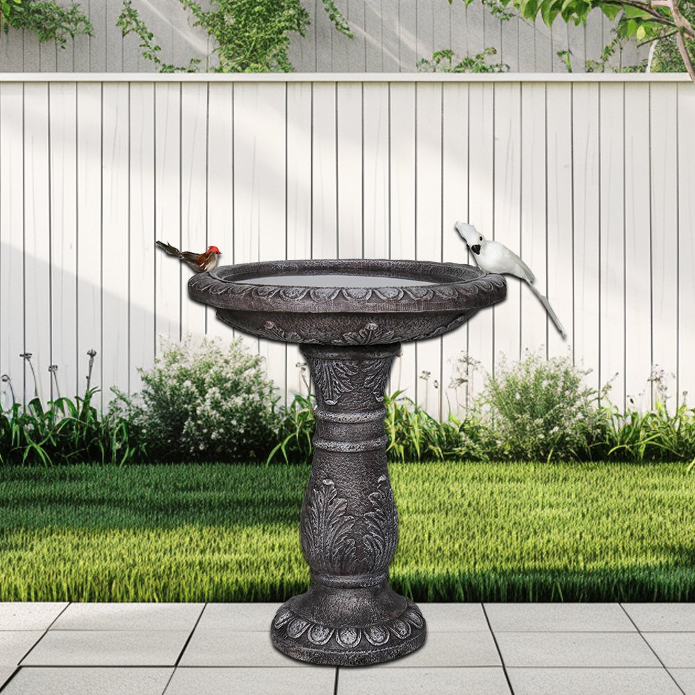 Alcott Hill Outdoors Bird Bath Vintage Carved Pedestal Birdbath ...