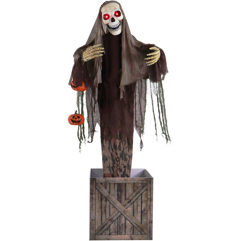 Haunted Hill Farm Morel The Skeleton in a Box with Movement, Sounds ...
