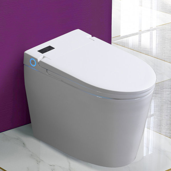 WFSHOP Smart Bidet Toilet Dual-Flush Elongated Toilet Bidet - Wayfair ...