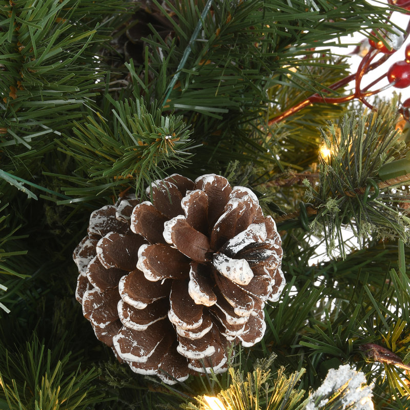 The Holiday Aisle® 3 ft. Potted Meadow Basin Tree with LED Lights | Wayfair