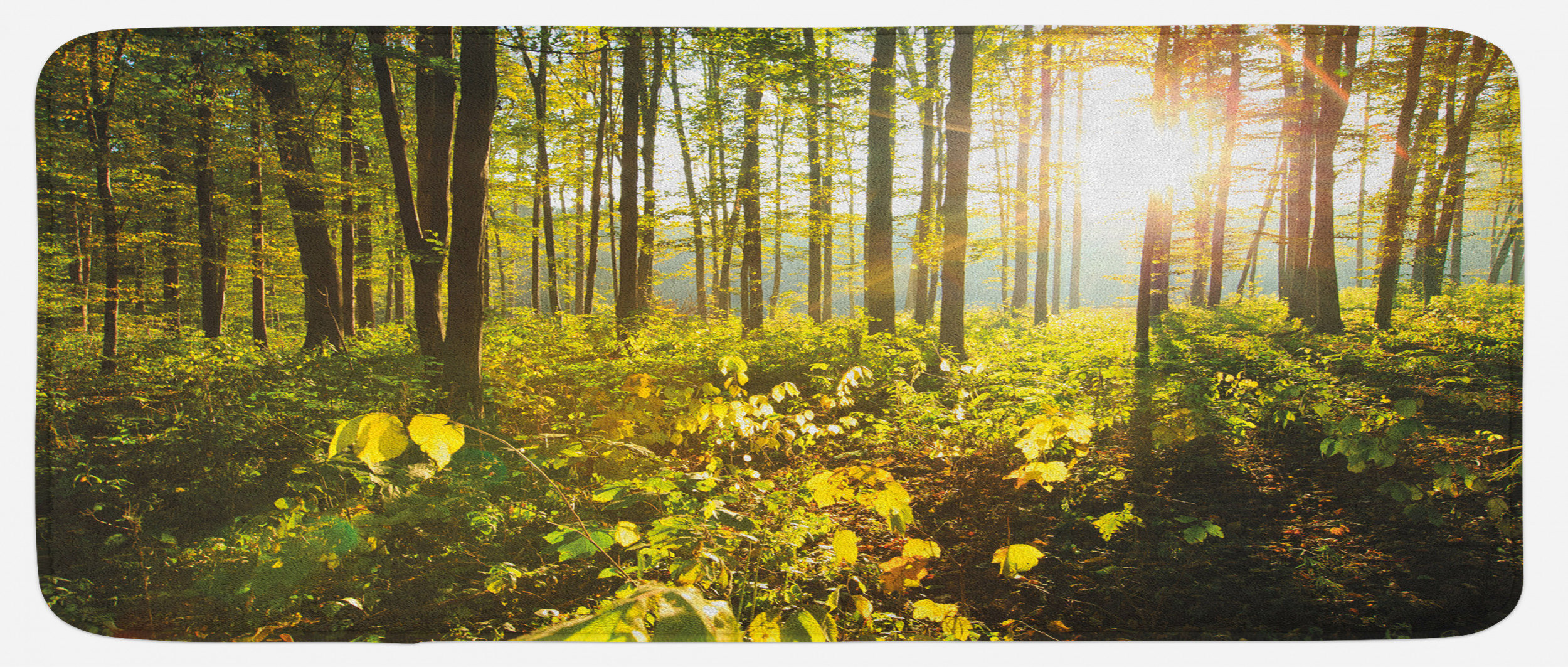 East Urban Home Trees Sun Rays In Woods Foliage Greenery Scenic ...