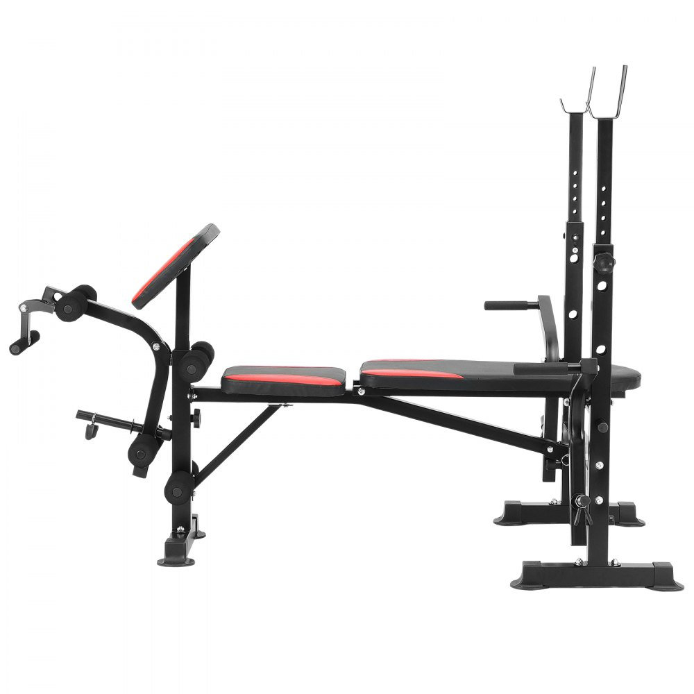 Ivy Bronx Weight Bench Sit up Bench for Home Gym Strength Training ...
