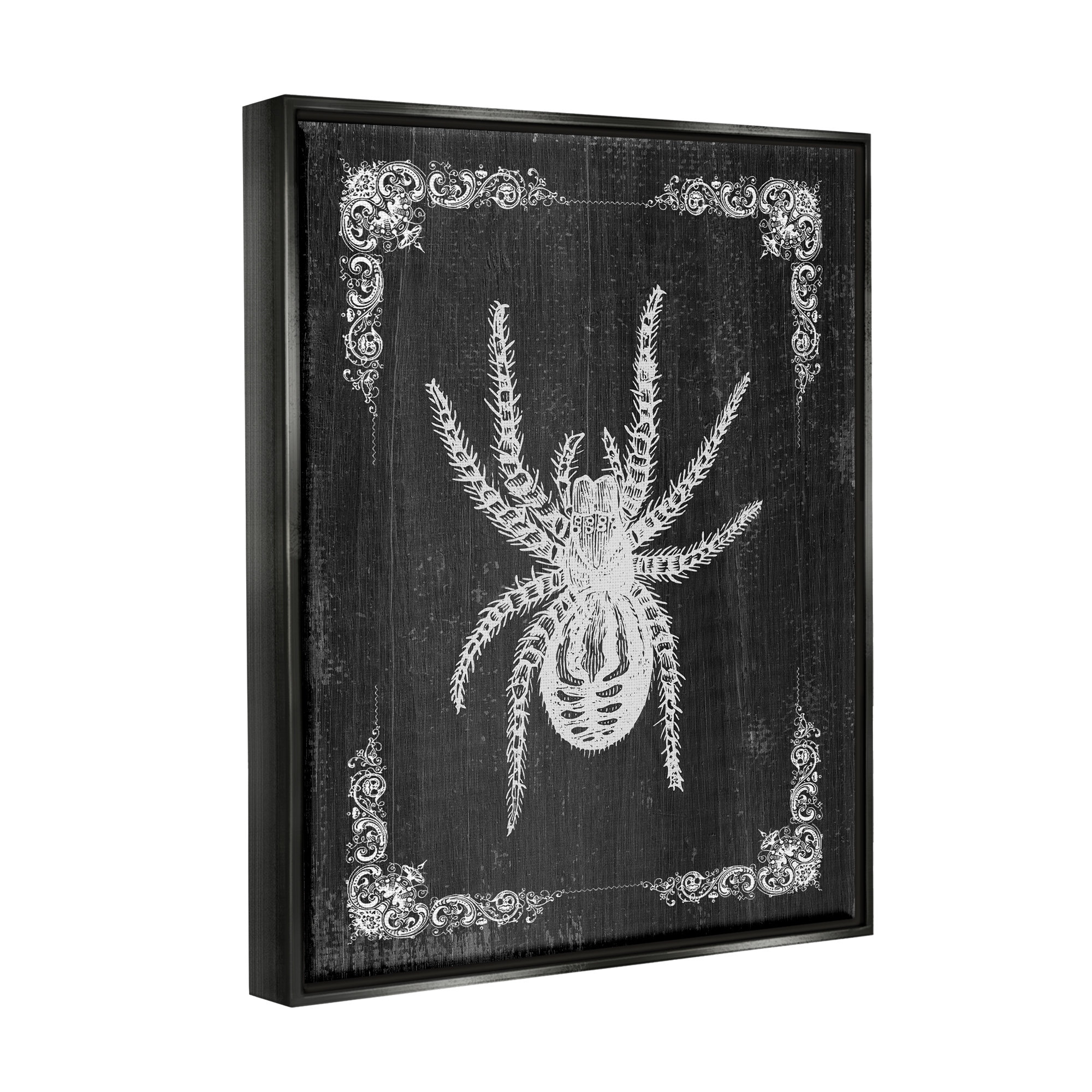 Stupell Industries Black & White Spider Framed On Wood by Lil' Rue ...