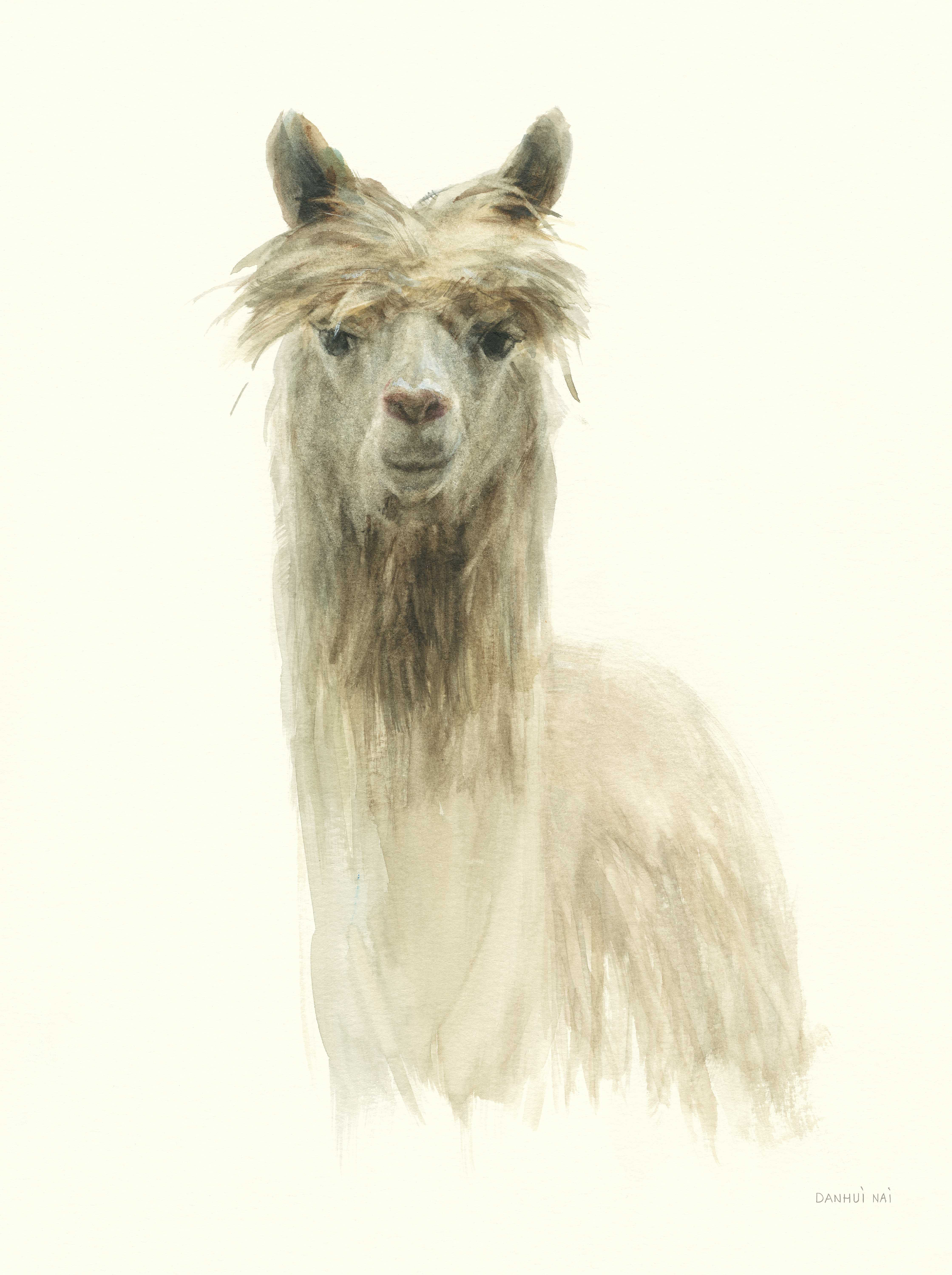 Foundry Select Classic Llamas I by Danhui Nai - Wrapped Canvas Print ...
