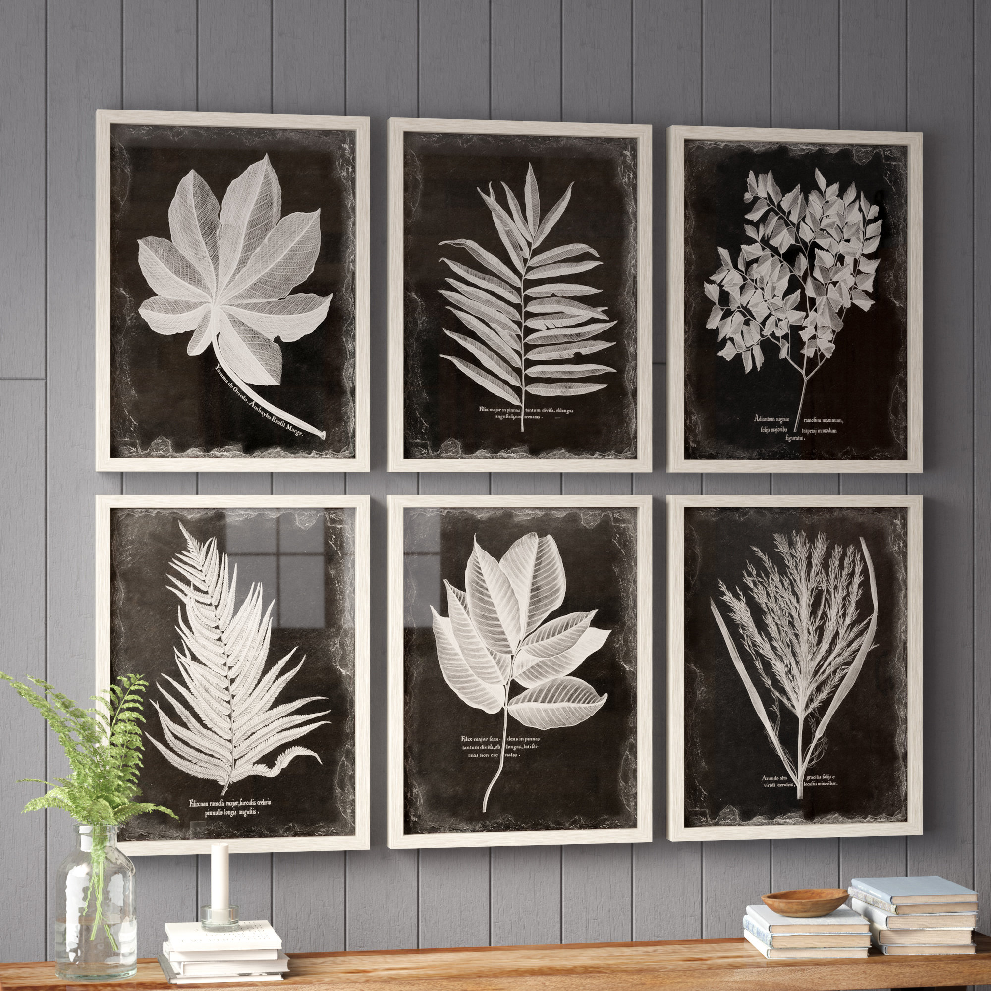Gracie Oaks 6 Piece Framed Graphic Art Print Set & Reviews | Wayfair