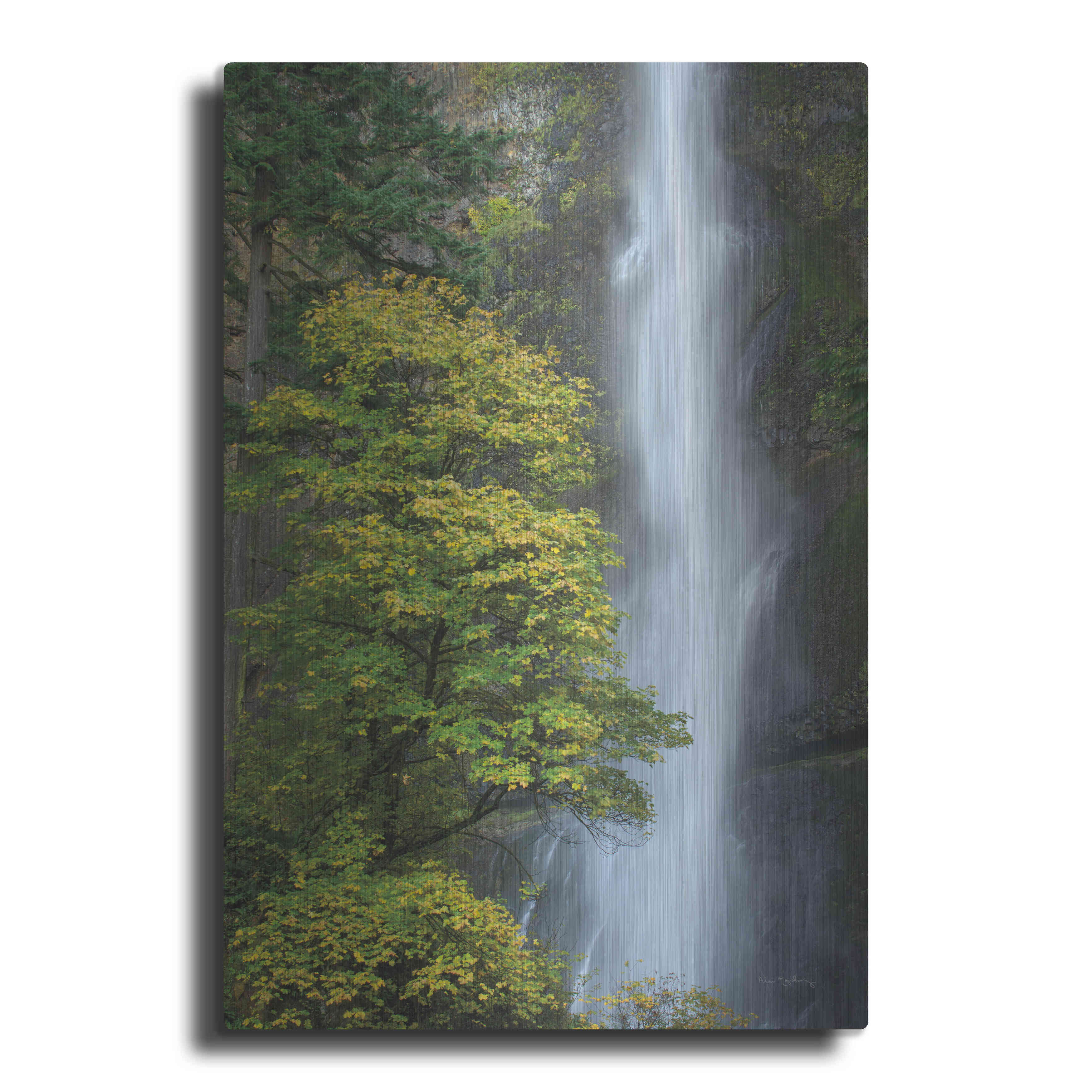 Millwood Pines Luxe Metal Art 'Multnomah Falls Color' By Alan Maj ...