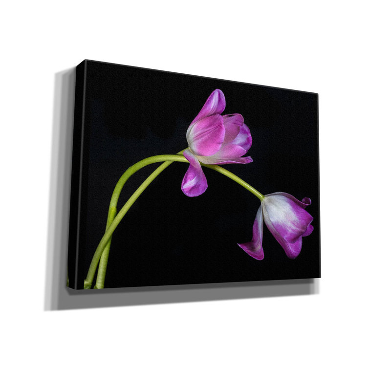 Latitude Run® Gata Just The Two Of Us On Canvas by Pamela Plummer Print ...