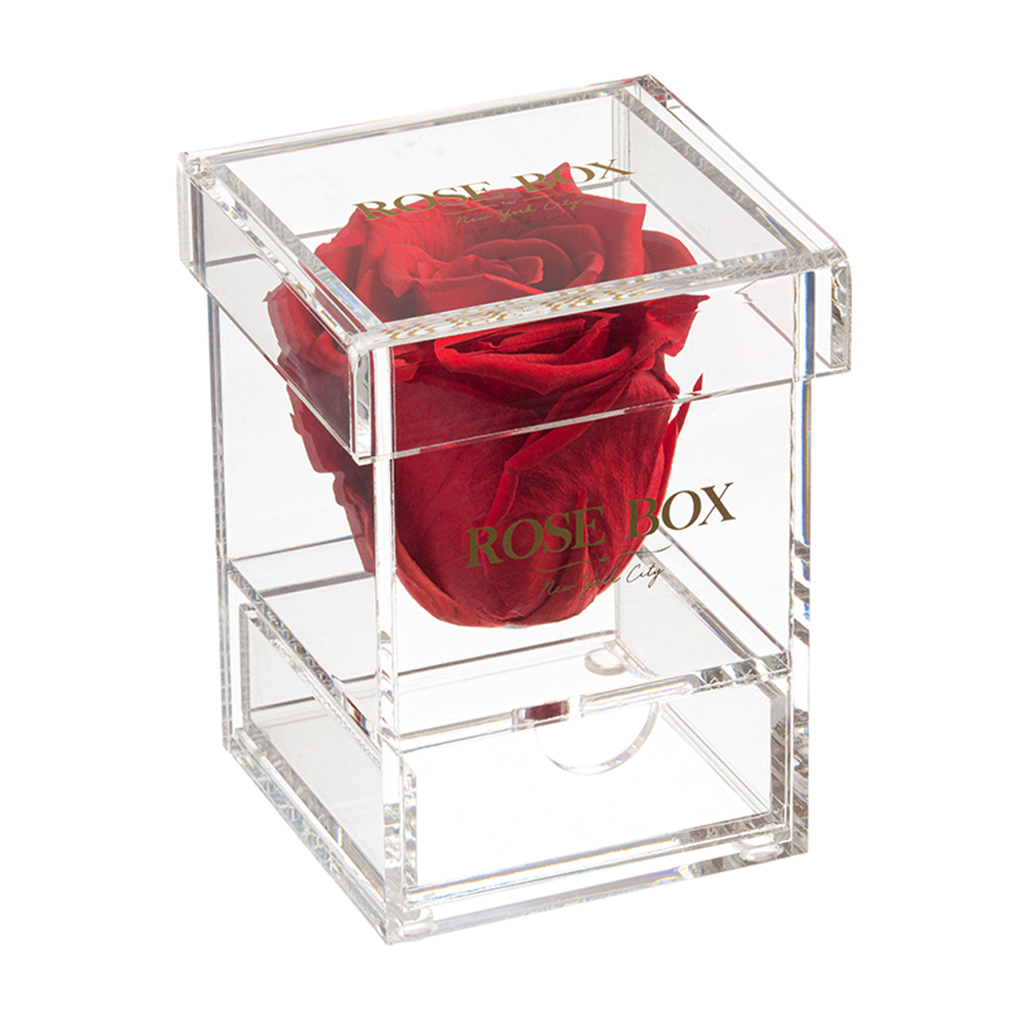 Rose Box NYC Roses Arrangement in Jewelry Box | Wayfair