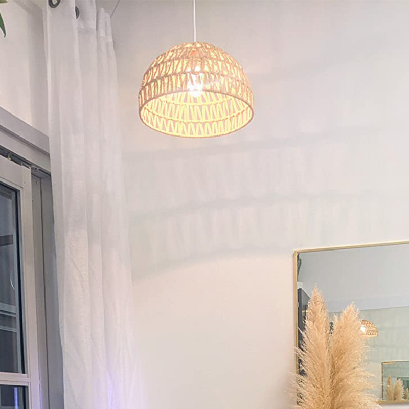 Beachcrest Home™ Earnestine 1 - Light Dome Pendant Plug In & Reviews ...