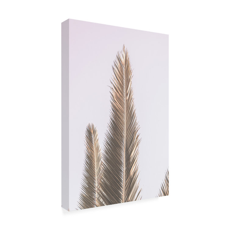 Bay Isle Home Shot By Clint Phoenix Palm Canvas Art - Wayfair Canada