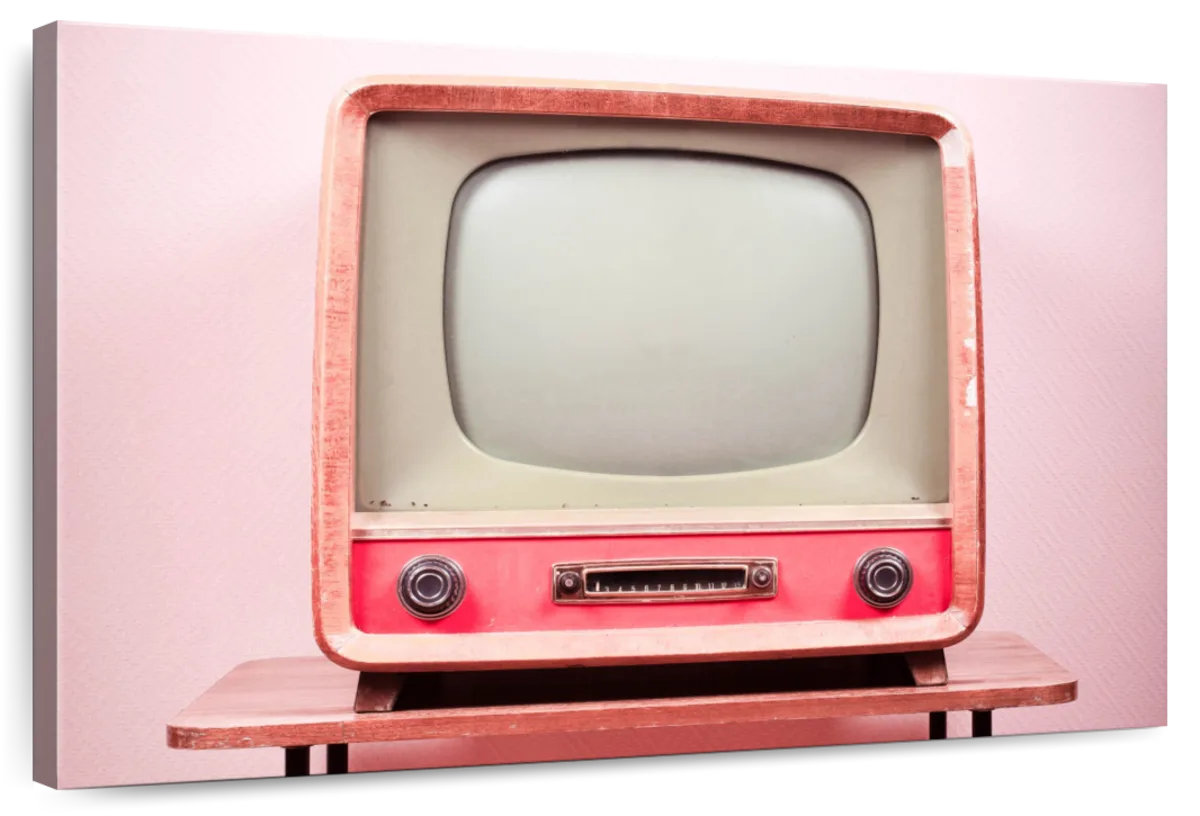 Bungalow Rose Kerner Vintage Pink Television | Wayfair