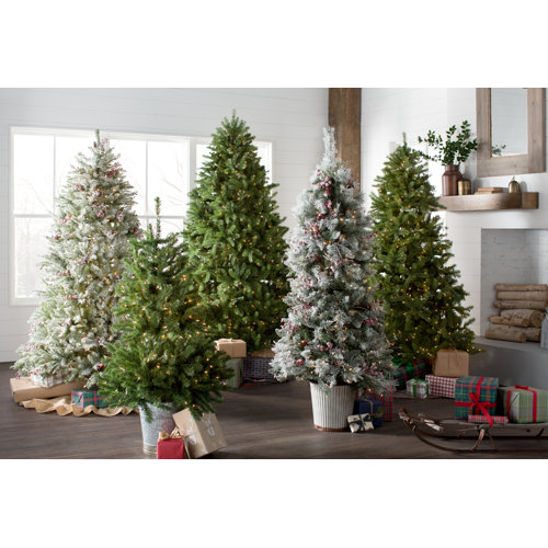 Birch Lane Christmas Trees