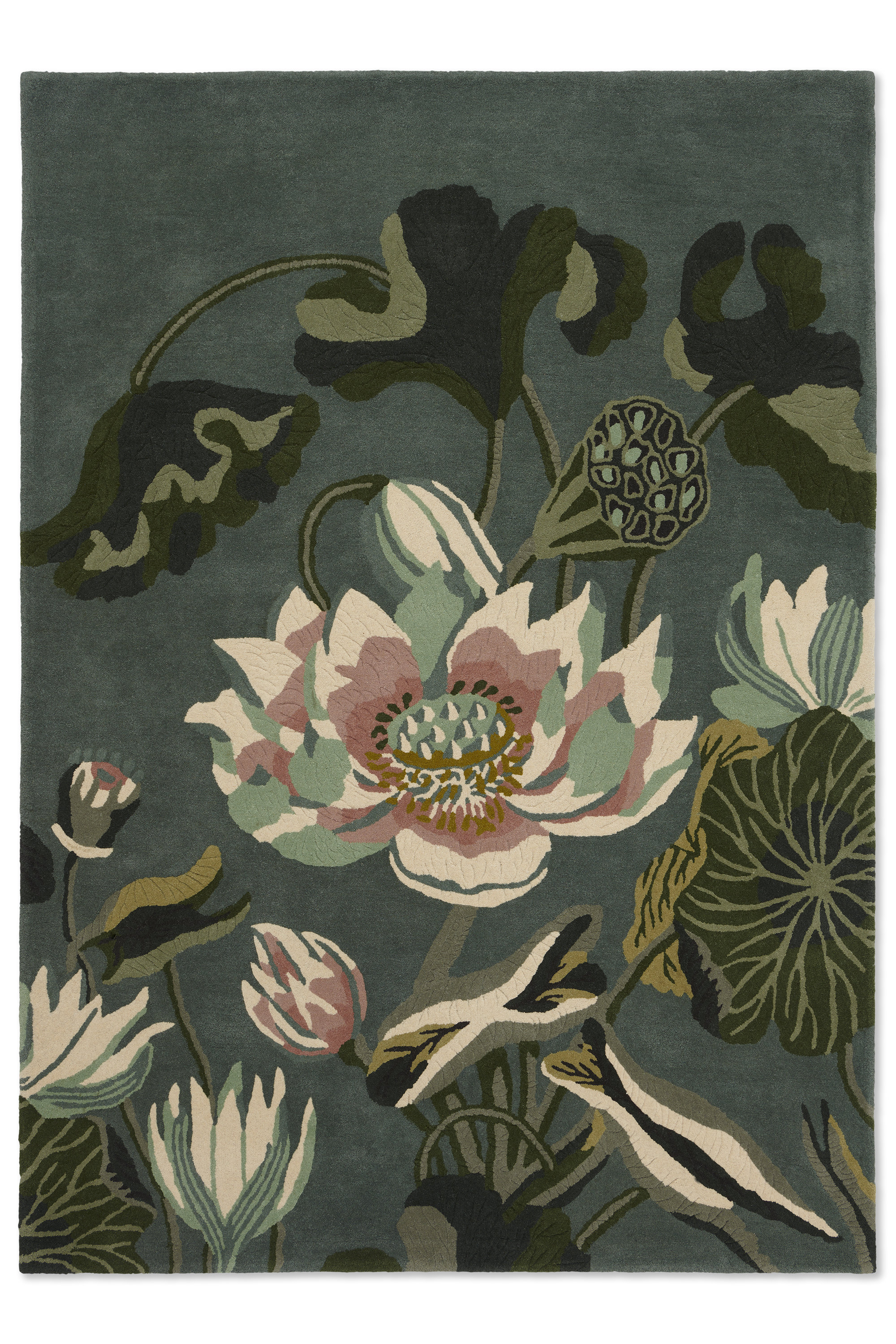 Wedgwood Waterlily Midnight Pond Green/Ivory Area Rug | Wayfair