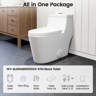 Sotomo White Elongated One-Piece Toilet, 1.1/1.6 Gpf Super Swirl ...