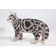 Hi-Line Gift Ltd. Standing American Shorthair Cat Statue & Reviews ...