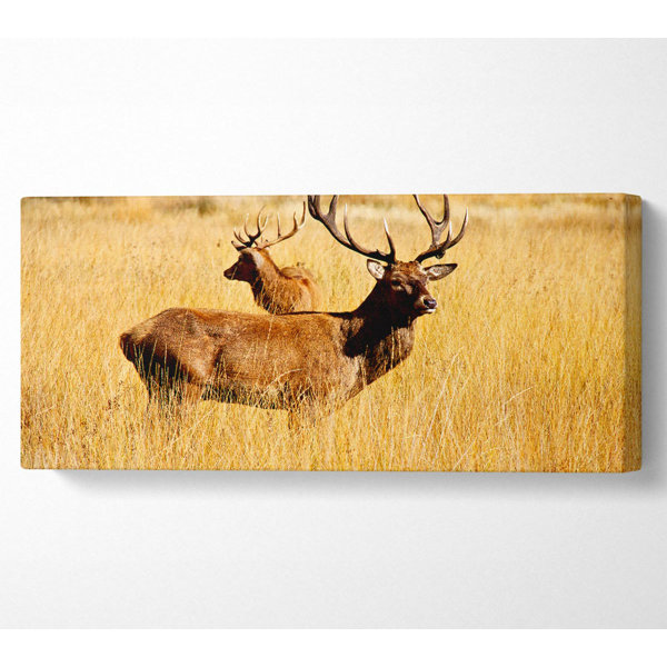Union Rustic Stag Duo - Wrapped Canvas Panoramic Art Prints | Wayfair.co.uk