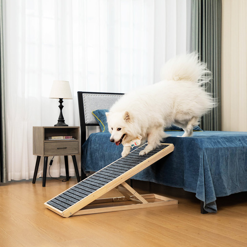 Tucker Murphy Pet™ Dog Ramp With Adjustable Height & Reviews | Wayfair