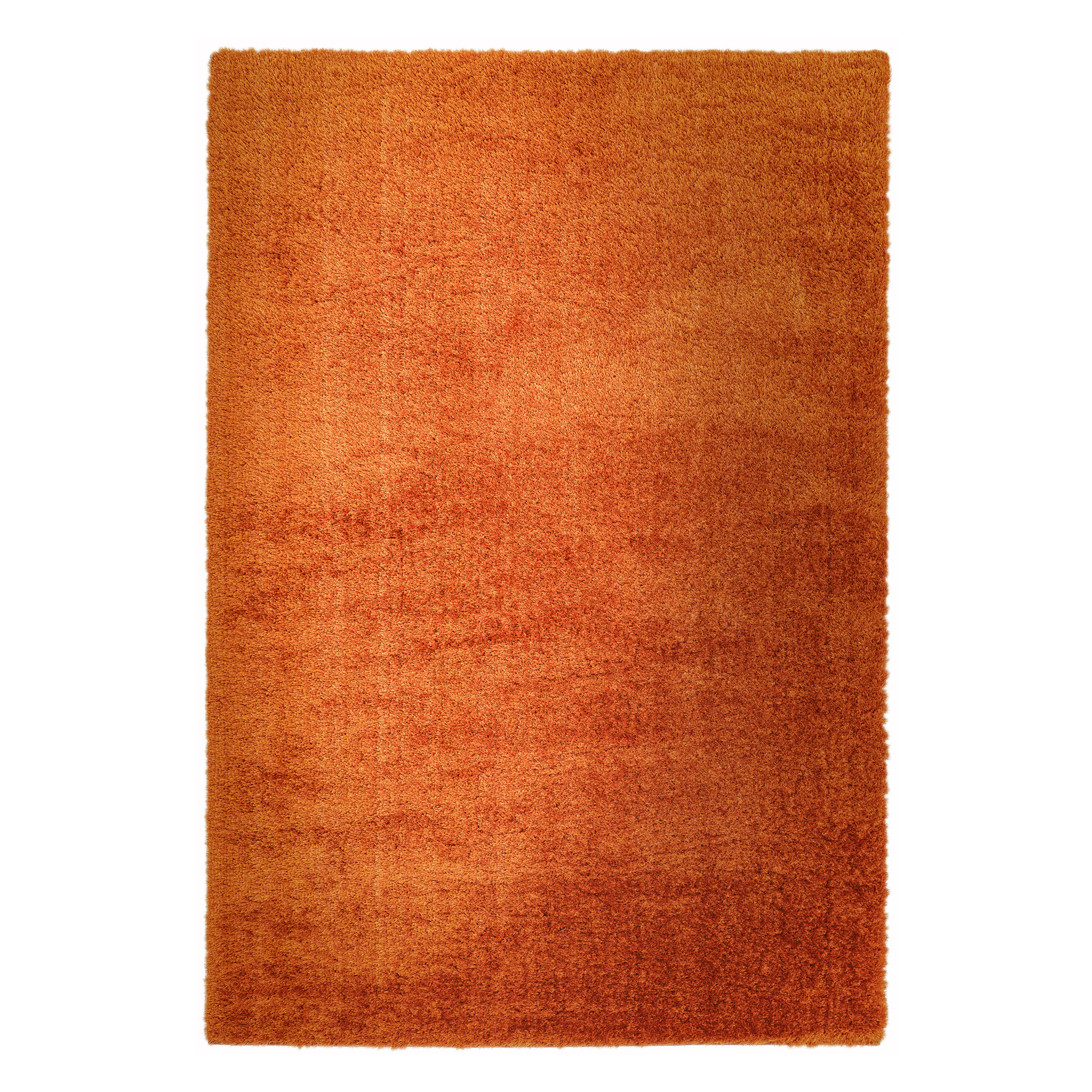 Ebern Designs Natonia Shiny Shaggy Orange Area Rug & Reviews | Wayfair ...