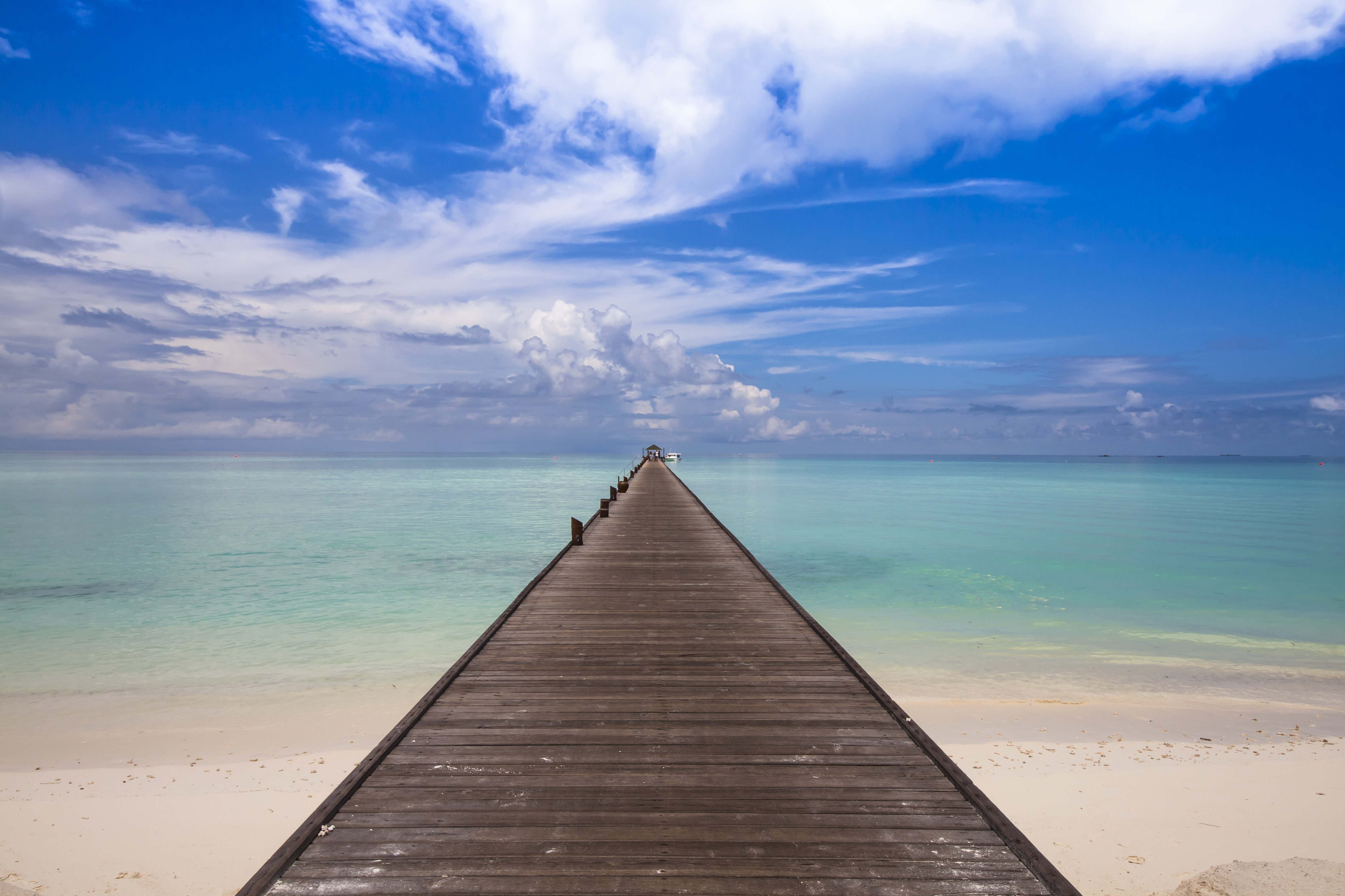 Highland Dunes Jetty to the Horizon by Lightstock - Wrapped Canvas ...