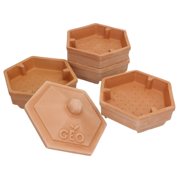 Tribest Geo Terradisiena Terracotta Sprouter & Reviews | Wayfair