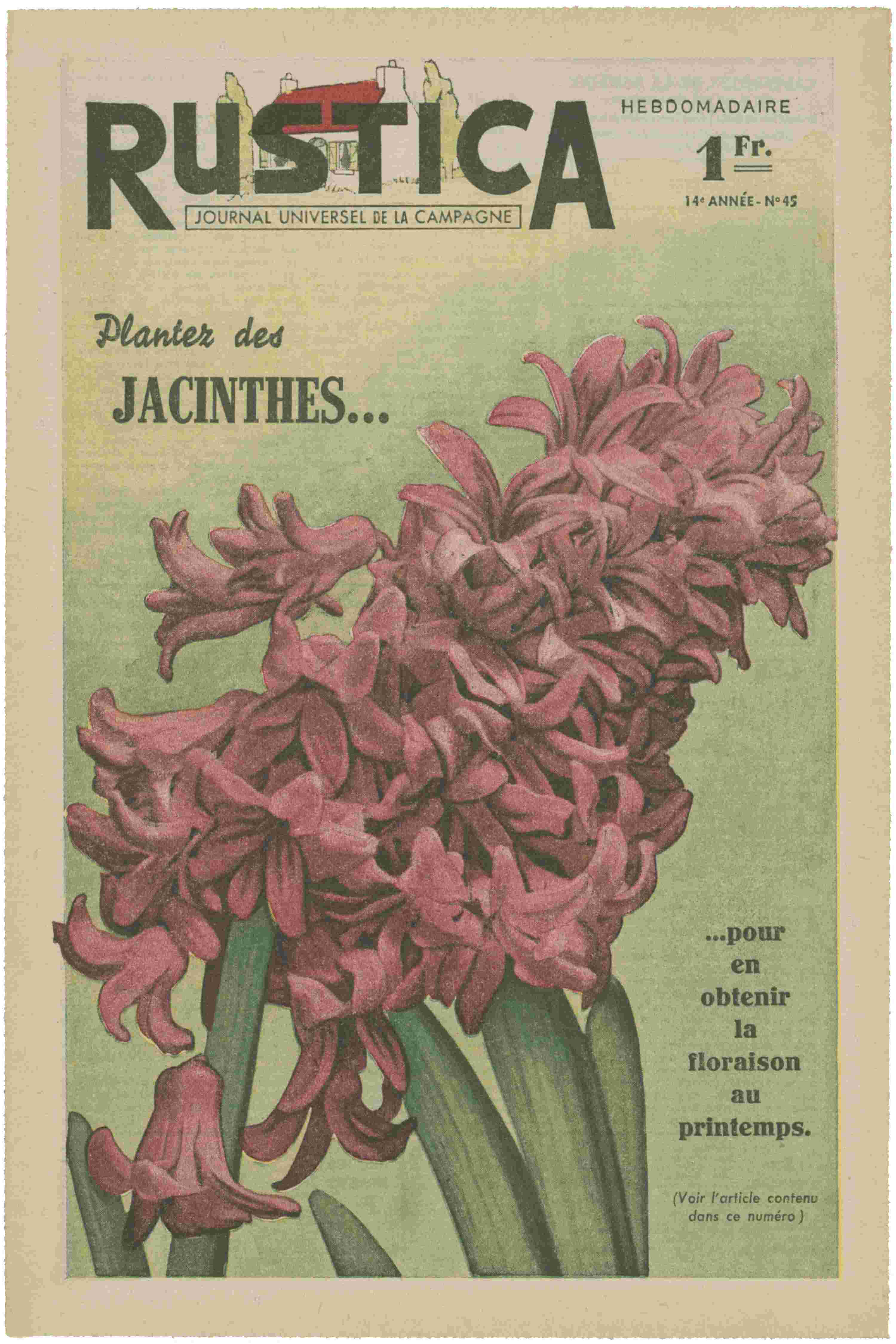 Red Barrel Studio Plantez Des Jacinthes - Wayfair Canada