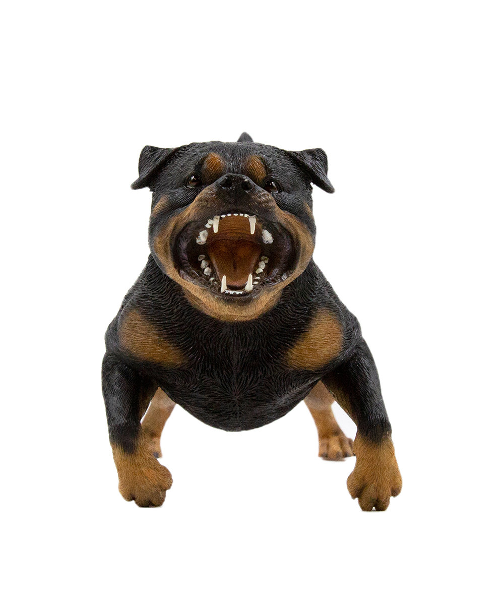 Winston Porter Kenison Rottweiler Figurine | Wayfair
